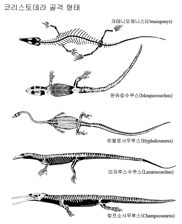 신생대 파충류 '코리스토데라'가 남긴 발자국